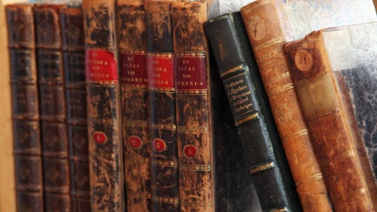 Farklı Türlerde Dünyadan En İyi Belgeseller | 24 Belgesel Önerisi