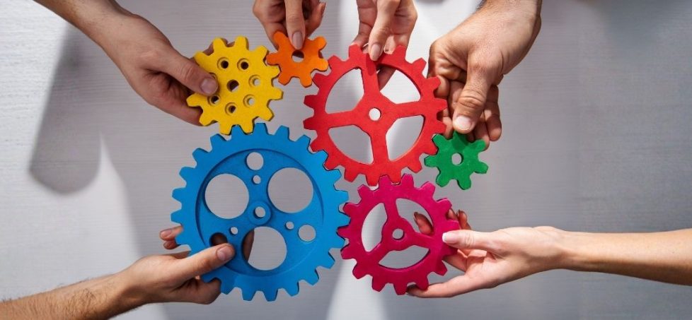 Yeni Sahiplik Modeli Steward Ownership: Vekil Sahiplik
